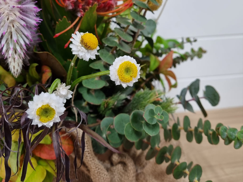 Large Native Floral Box - Touchwood Flowers Port Macquarie